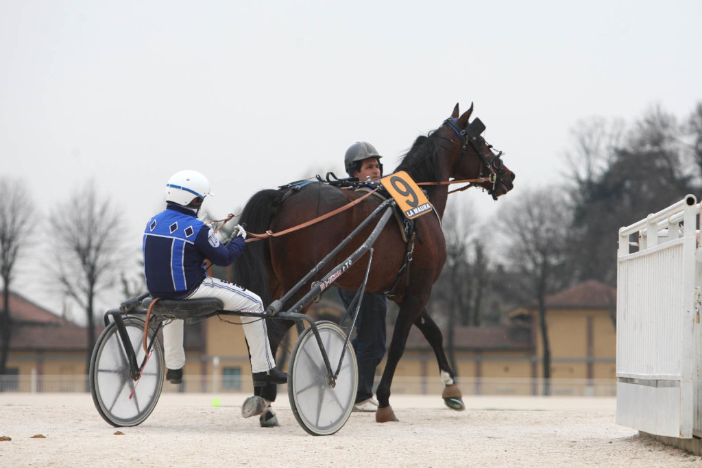 Mack Grace ritirato in razza : Ippodromi Snai