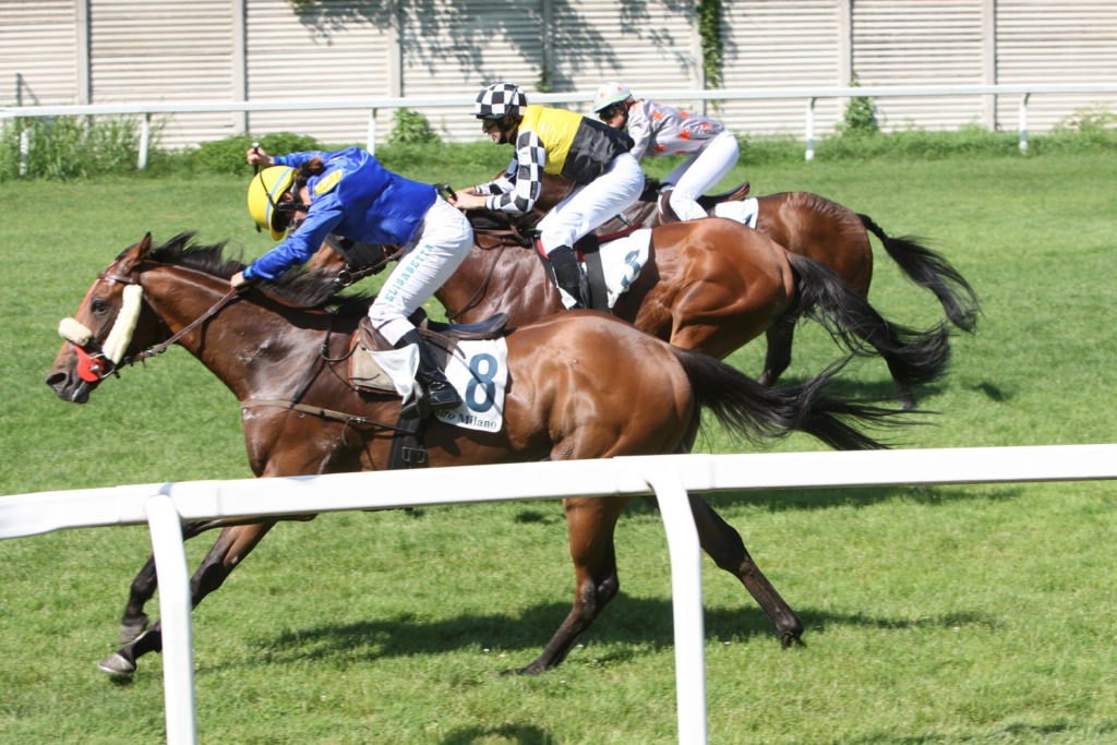 George Rooke stavolta risponde “presente” : Ippodromi Snai