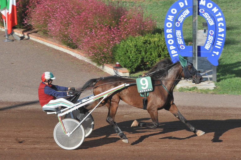 Tiberio Alex fa valere il suo parziale : Ippodromi Snai