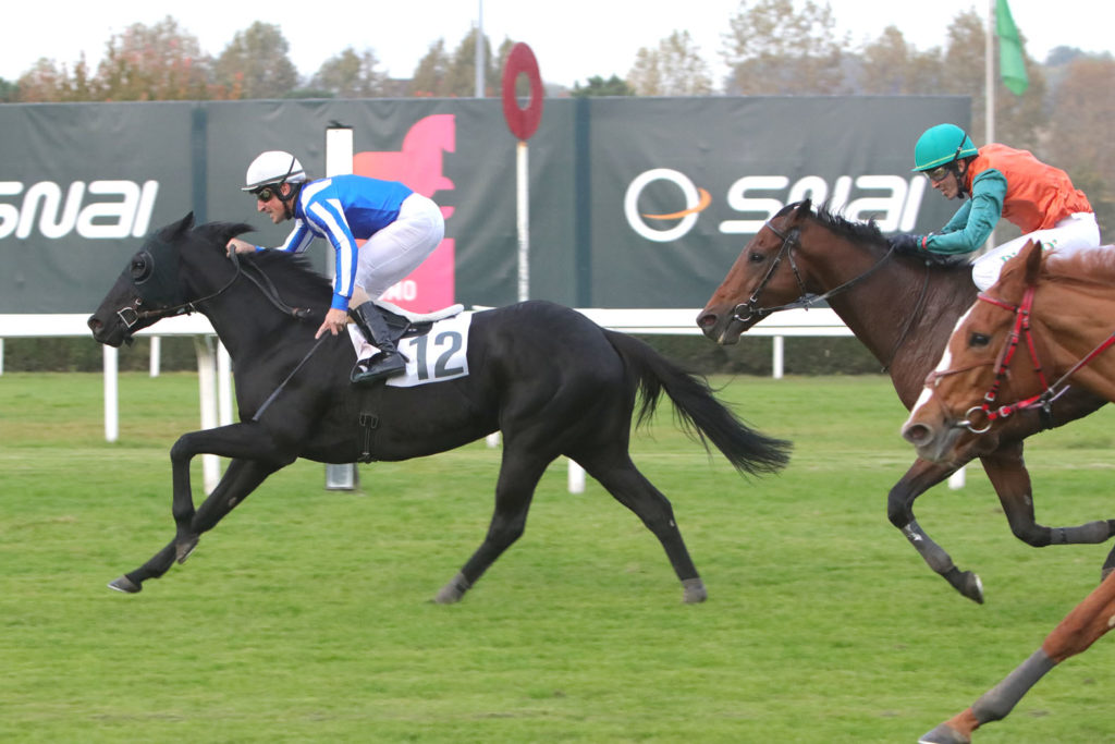 Yankee Mail a destinazione : Ippodromi Snai