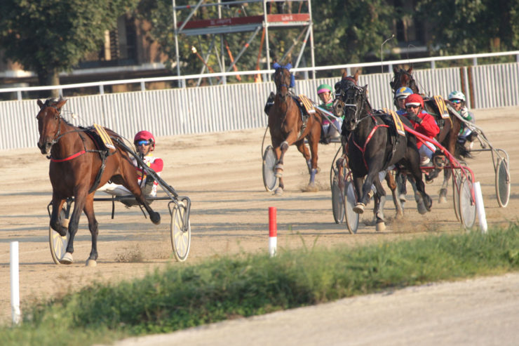 Thetis Moon, classe superiore : Ippodromi Snai