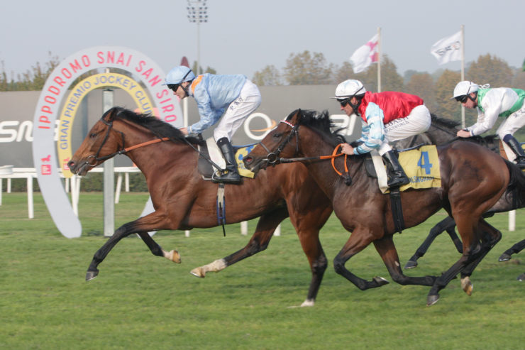 Raymond Tusk nel Jockey Club: Anda Muchacho eroe del Di Capua ...
