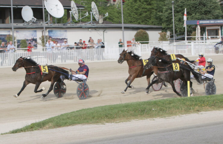 Vincent Sm, si va a Berlino! : Ippodromi Snai