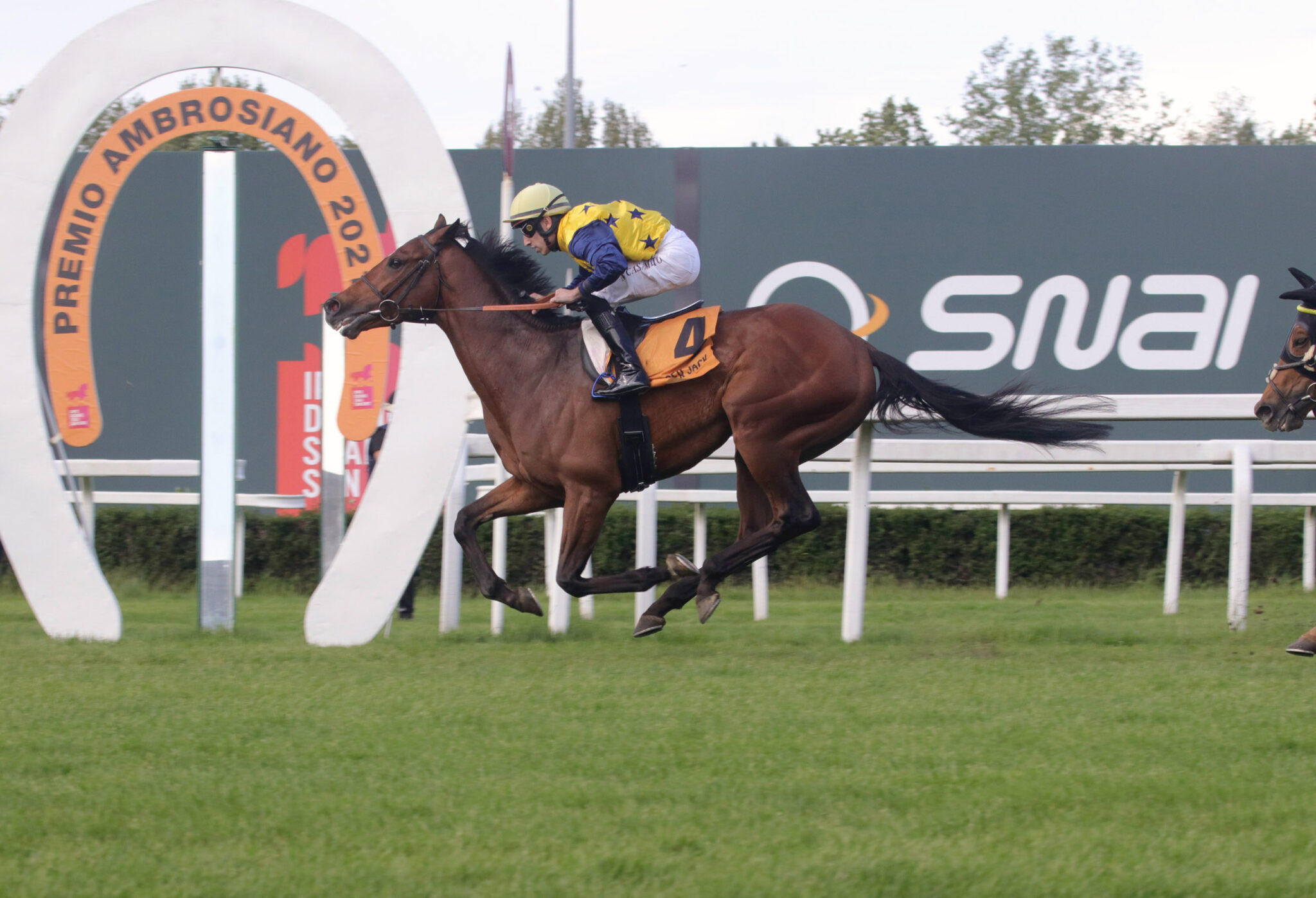 Grocer Jack, strapotere straniero : Ippodromi Snai