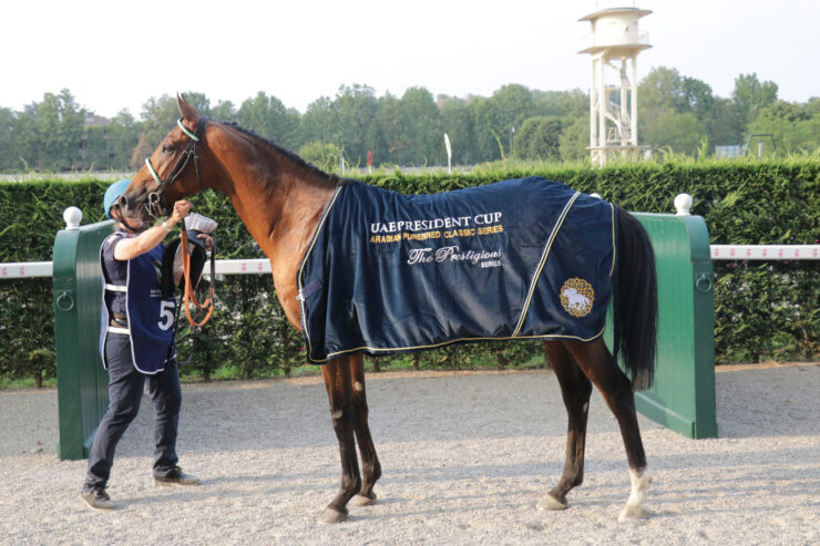 Jarif fa il bis, nel mercoledì all’Ippodromo Snai San Siro, nell ...