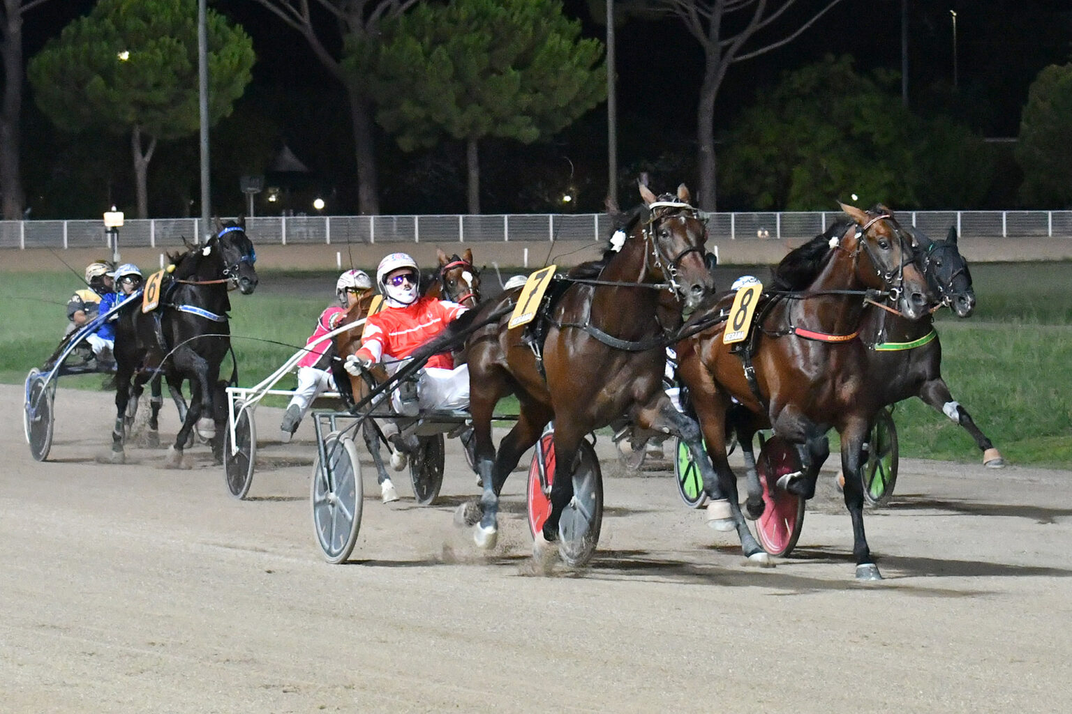 GRAN PREMIO Nello Bellei, LA 18^ EDIZIONE LA DECIDE il “var” CON LA ...