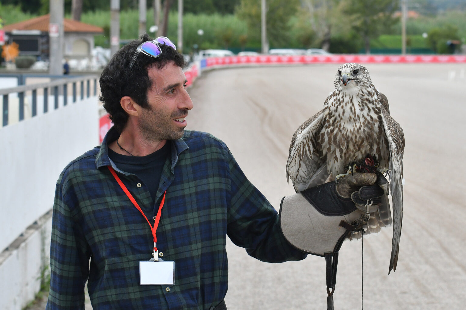 AL SESANA ANCHE la 3^ edizione dell’Italian Falcon Race : Ippodromi Snai